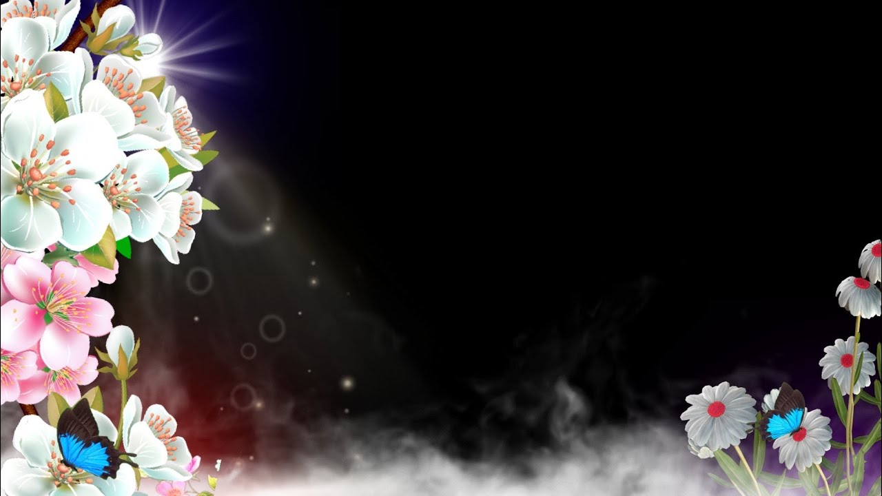 Template Video Background | Flower Effect Video Background | Flower ...