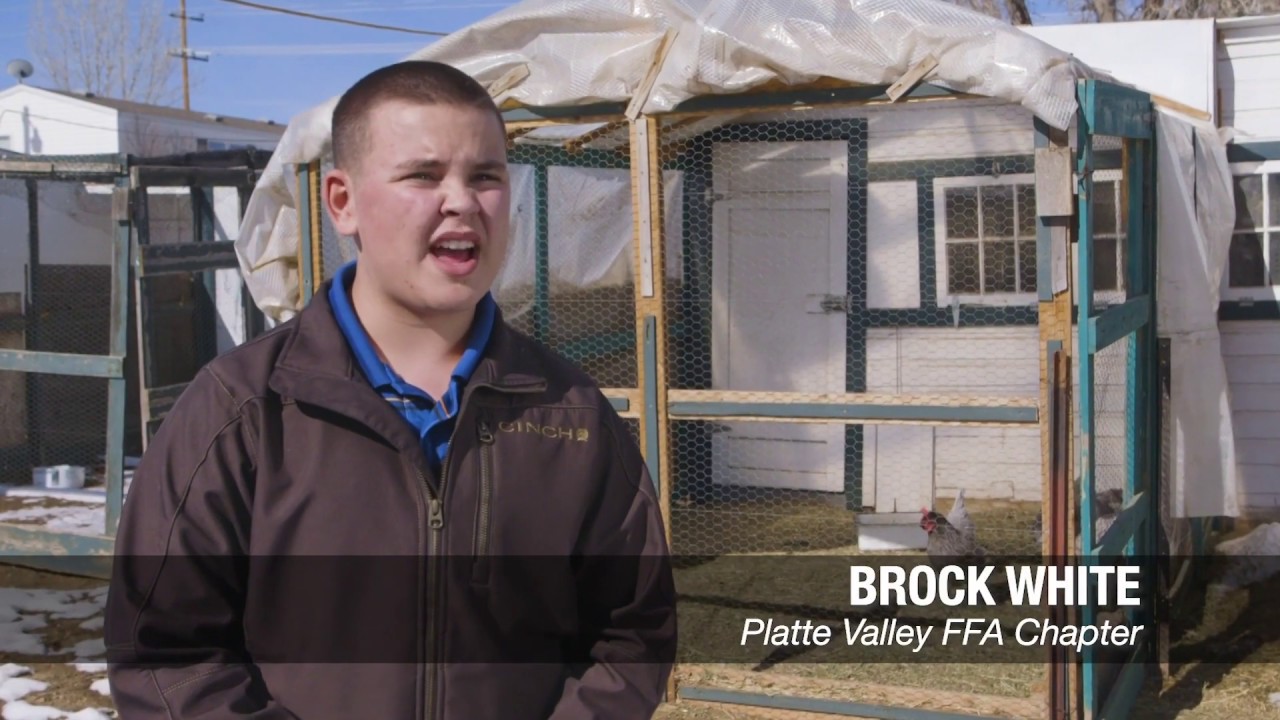 Colorado Ag Education, Three Circle Model--SAE - YouTube