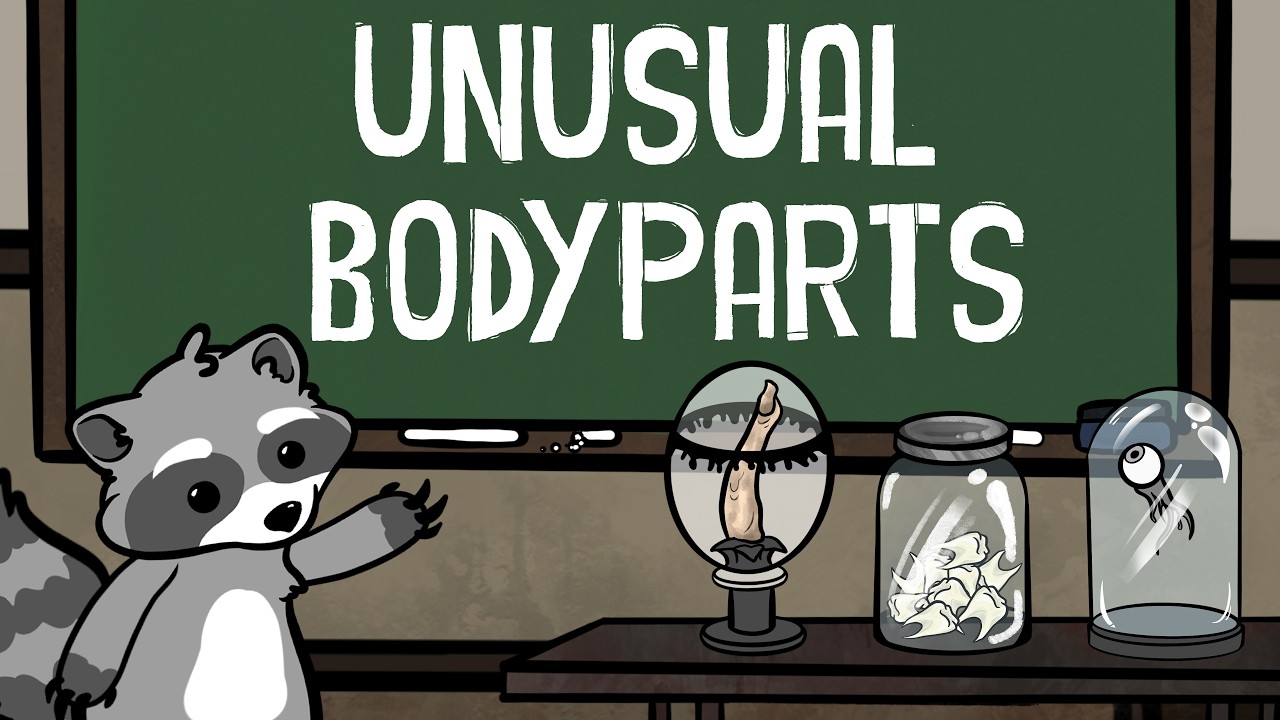 Strange Body Parts Displayed in Museums - YouTube