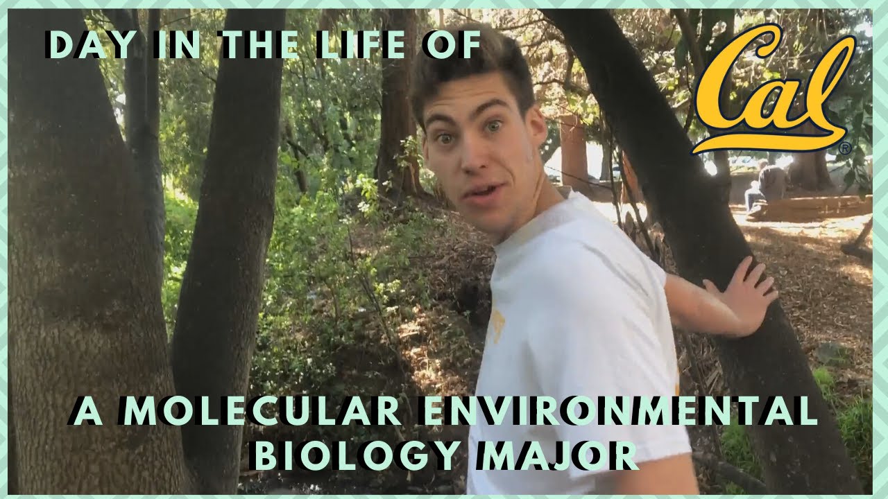 Day in the Life: Molecular Environmental Biology Major [UC Berkeley ...