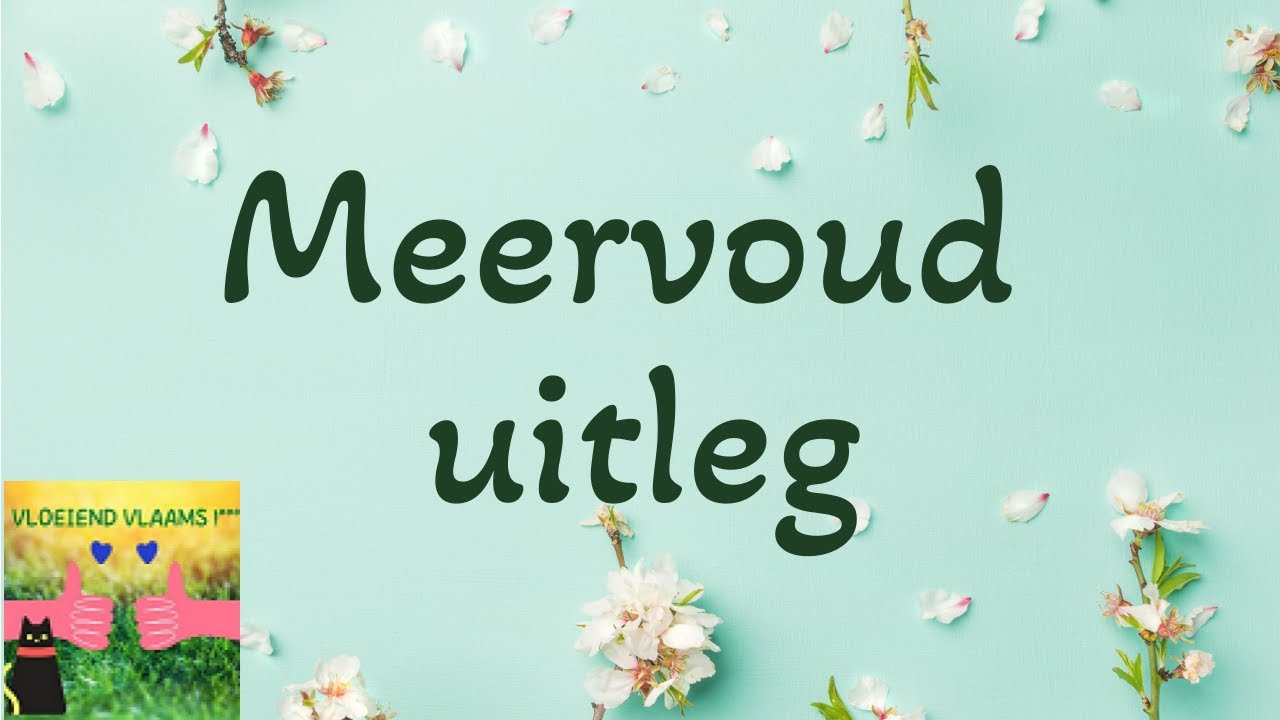 Hoe maken wij het meervoud? UITLEG - YouTube
