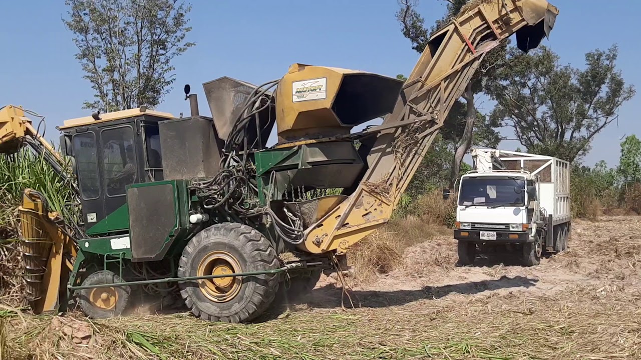 รีวิว รถตัดอ้อยเก่านอก จากออสเตเรีย AUSTOFT 7000 260hp cummis and truck ...