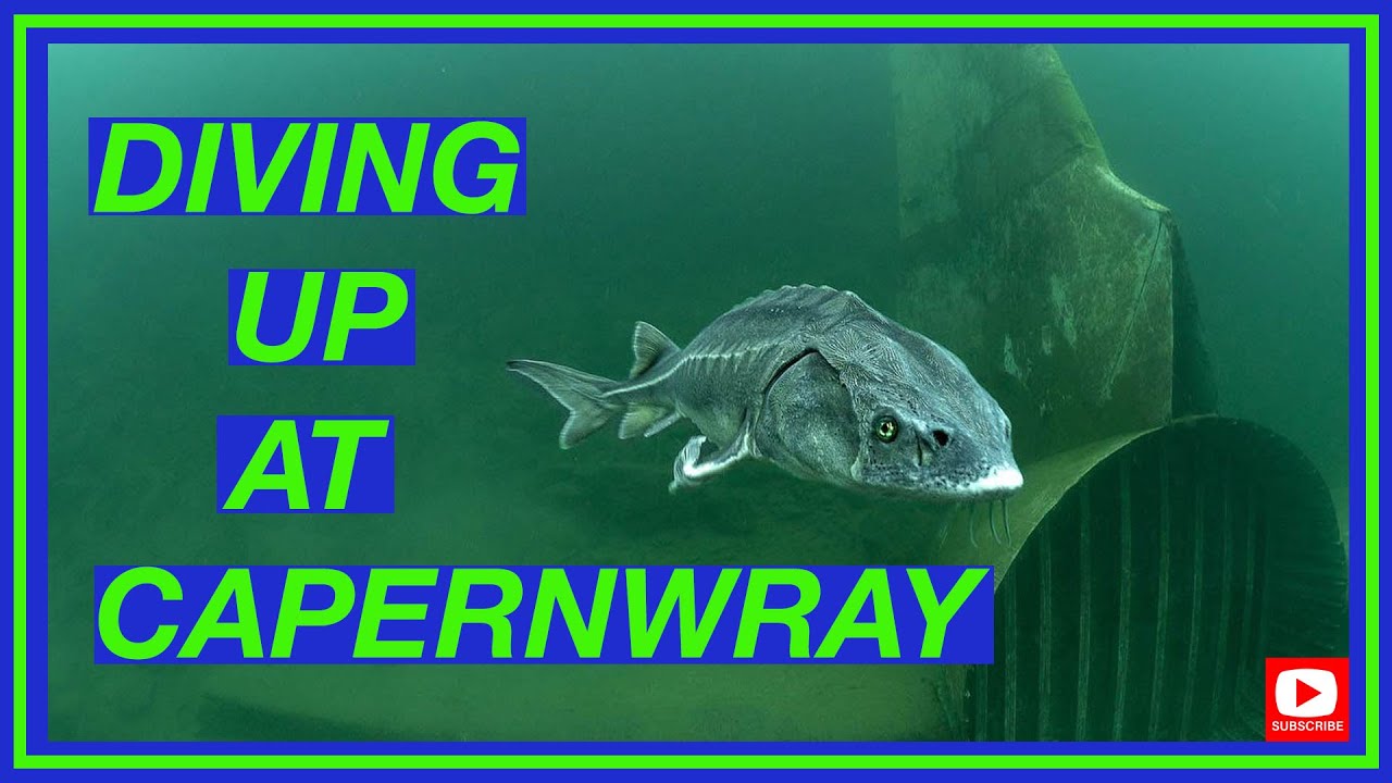 Diving Capernwray | UK Dive Site Guide | Capernwray - Jackdaw Quarry ...