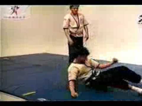 Classic Shuai Chiao by Dr. Weng - YouTube