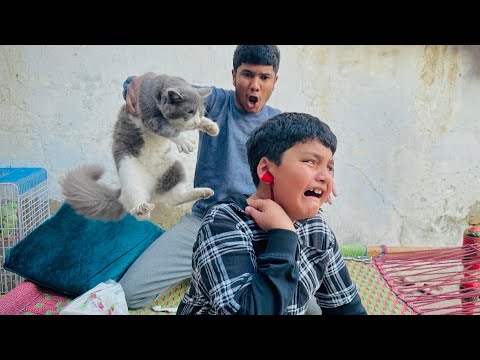Mano ny Ali pr attack kr k Ali ko zakhmi kr deya 🥺 ||