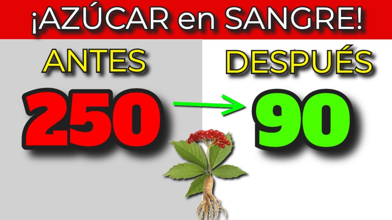 ¡Baja el azúcar en sangre SIN REMEDIOS! | Diabetes tratamiento natural ...