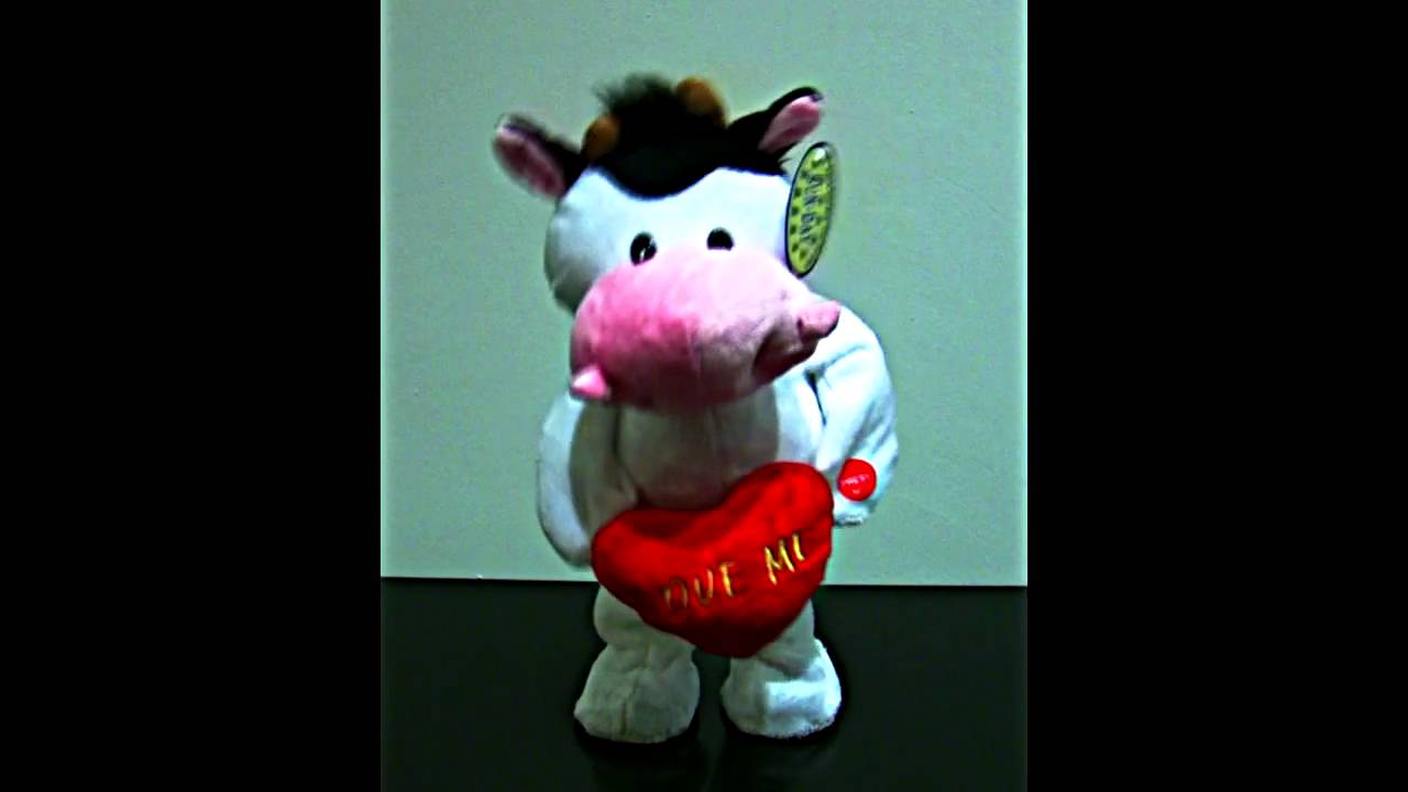 Tańcząca krowa - dancing cow - YouTube