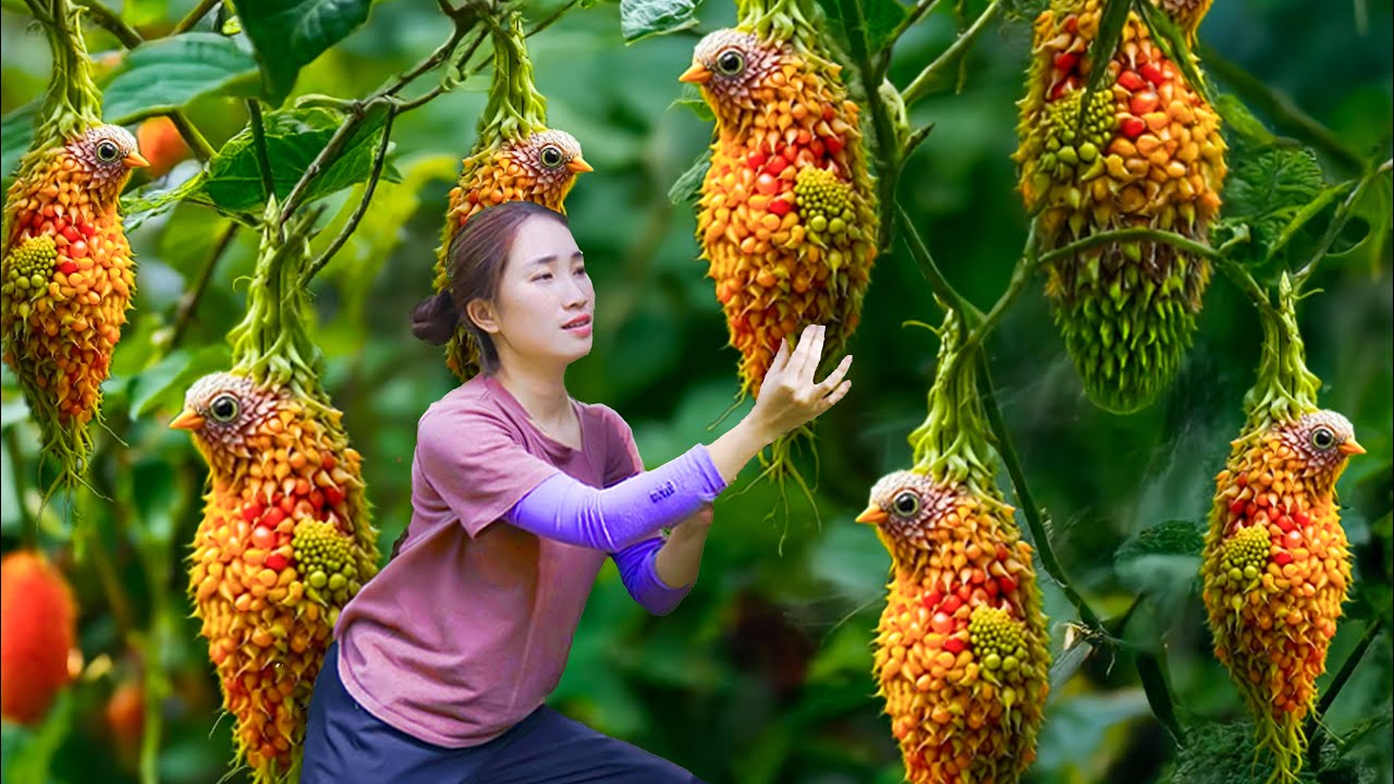 Forest Life | Harvesting Woodpecker's Nest Fruit | Rare Fruit First ...
