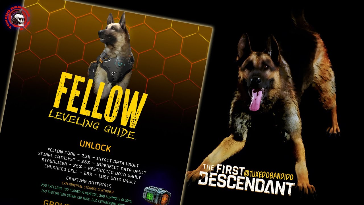 Guide: Unlocking & Leveling Your Fellow in The First Descendant! - YouTube