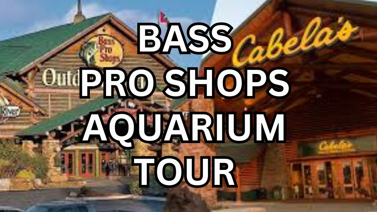 Fish Aquarium Tour Walk Around Bass Pro Shops Cabala's Huge Fish Tank ...