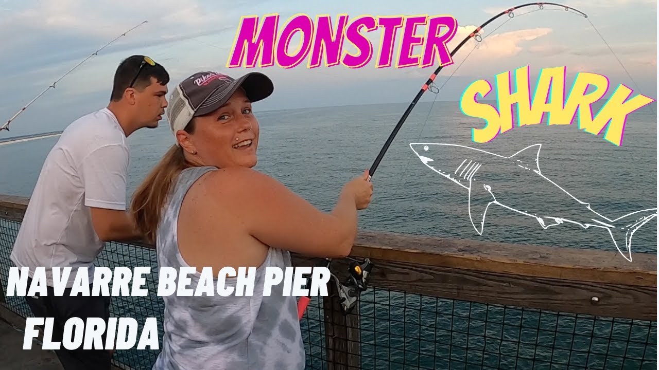 🦈 Catching Sharks off Navarre Beach Pier 🎣 - YouTube
