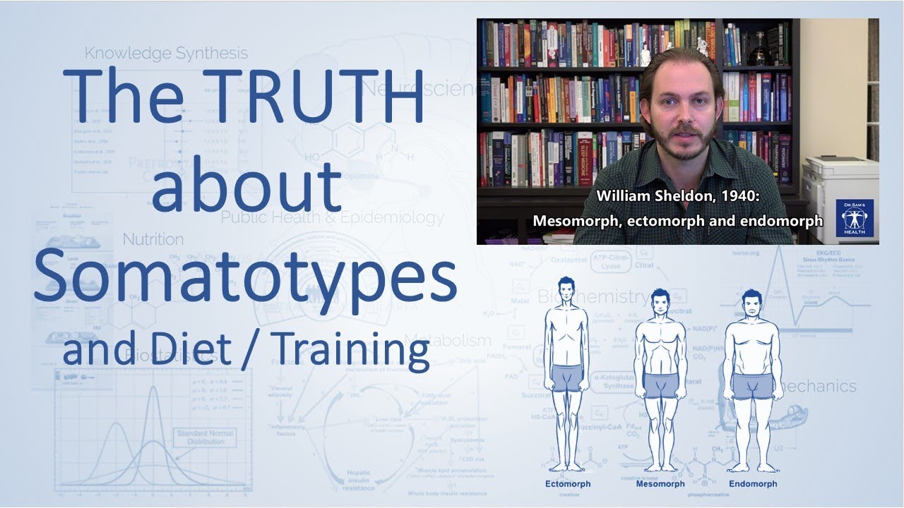 The TRUTH about Somatotypes and Diet/Training - YouTube