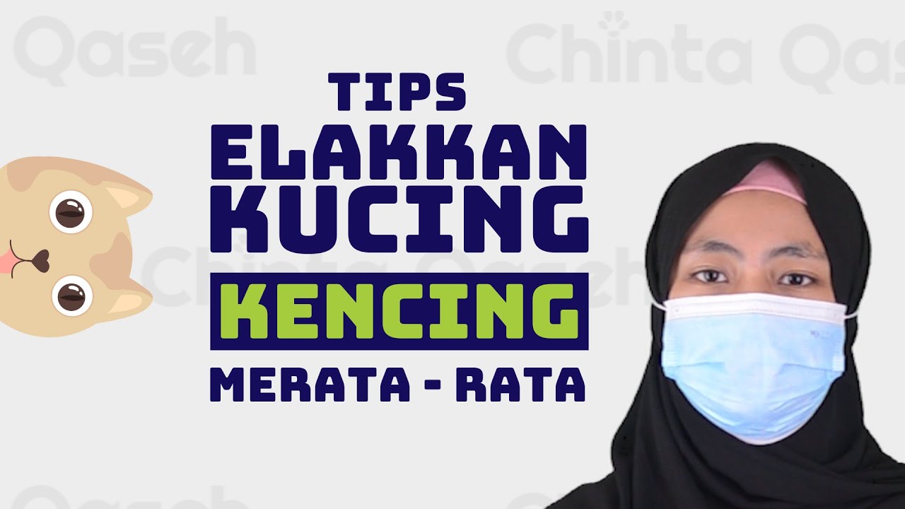 Elakkan Kucing Kencing Merata - Rata - YouTube