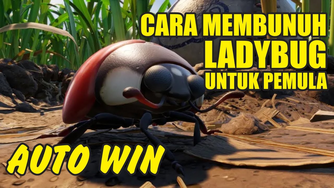 Cara membunuh ladybug untuk pemula, how to kill a ladybug for a ...