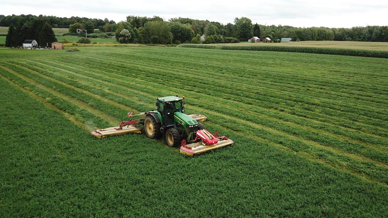 3rd cutting Alfalfa 2019 - YouTube