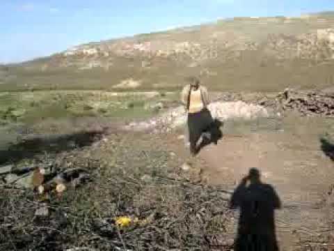 Çalgısız müzik halayı