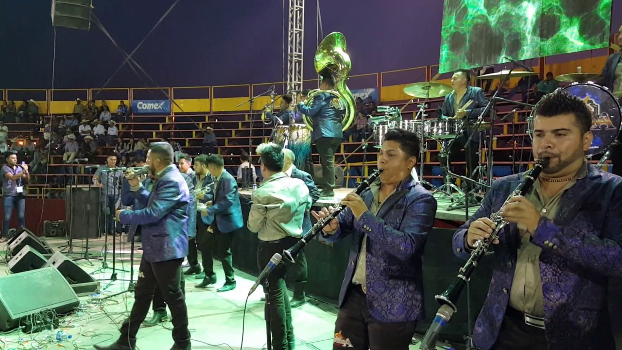 EL CHUMA - BANDA LA SUPREMA DEL TIBURON DESDE SALVATIERRA GTO 2017 ...