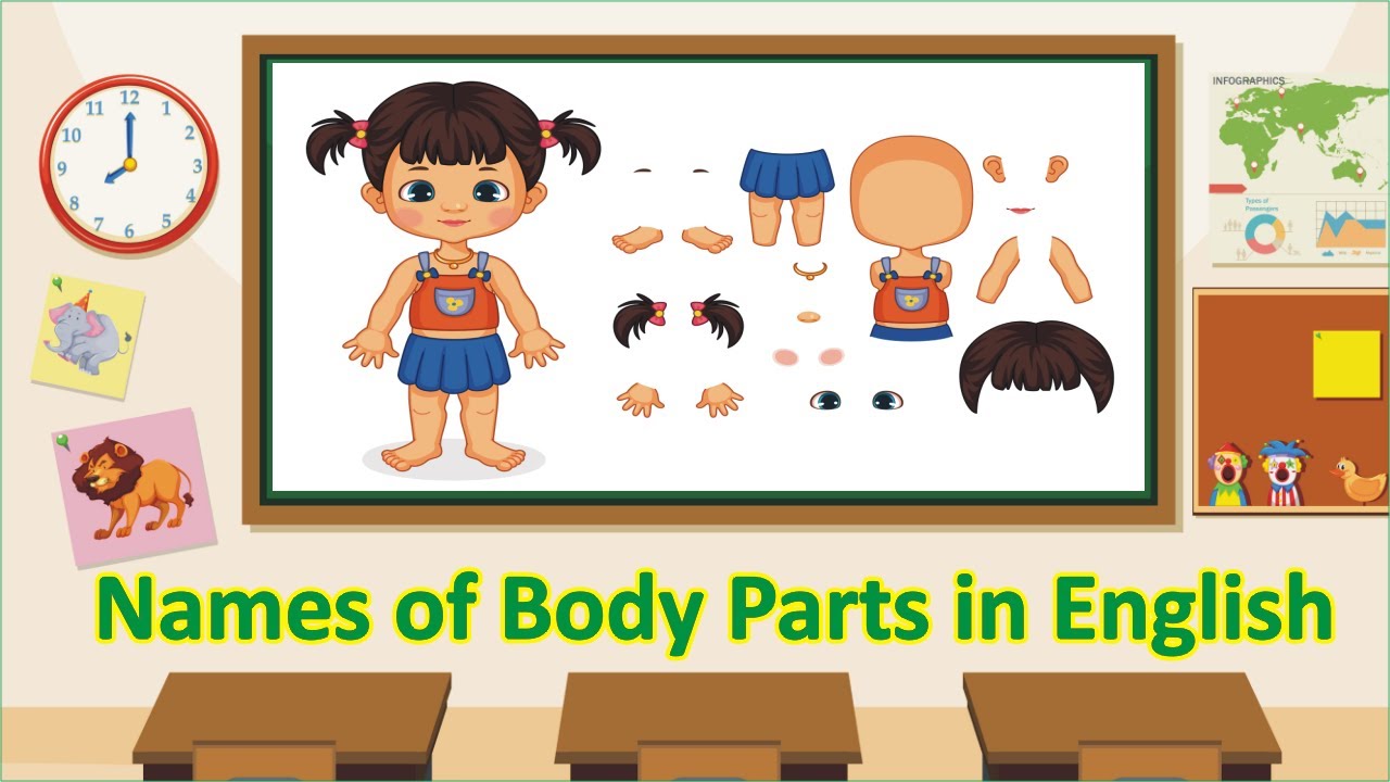 Learn the Names of Body Parts in English || All Body Organs Names ...