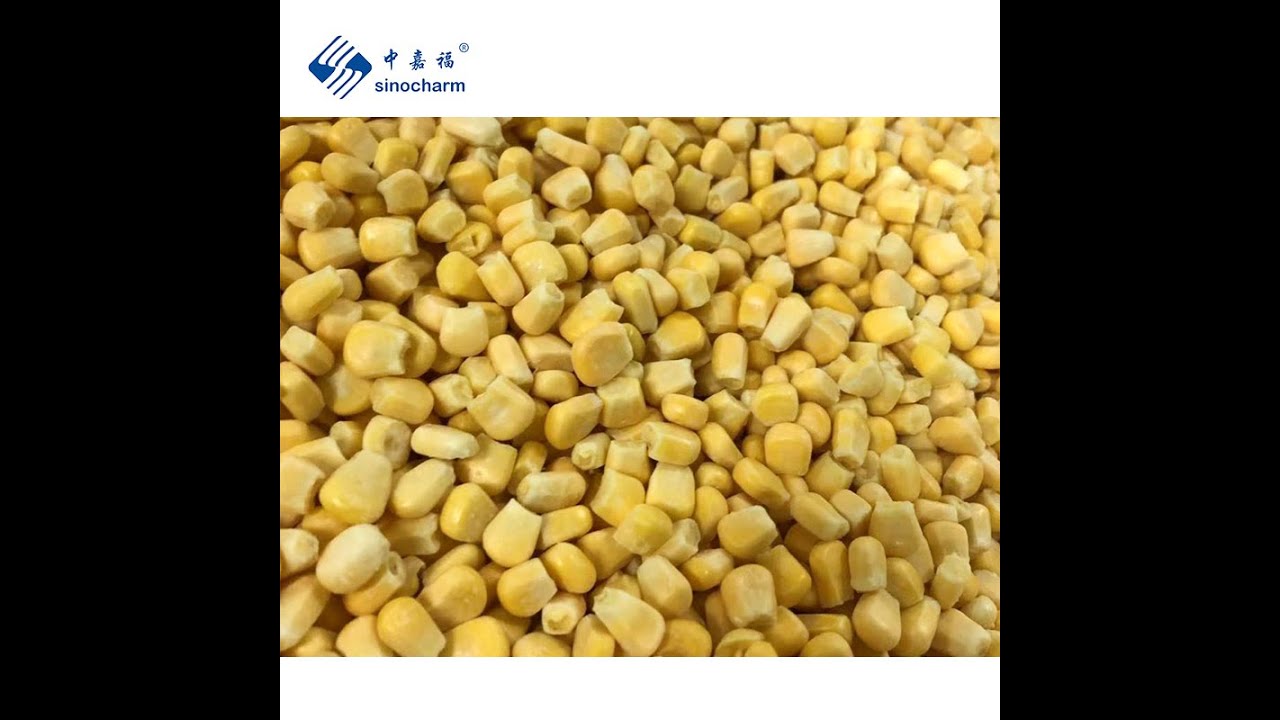 Sweet Corn Kernels Production by X-ray Machine - YouTube