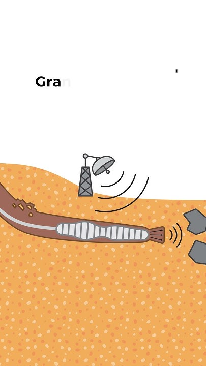 Grand challenges for burrowing soft robots - YouTube