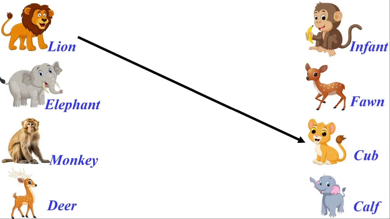 Animals and Their Young Ones Matching Game | Fun & Educational! 🦁🐾 ...