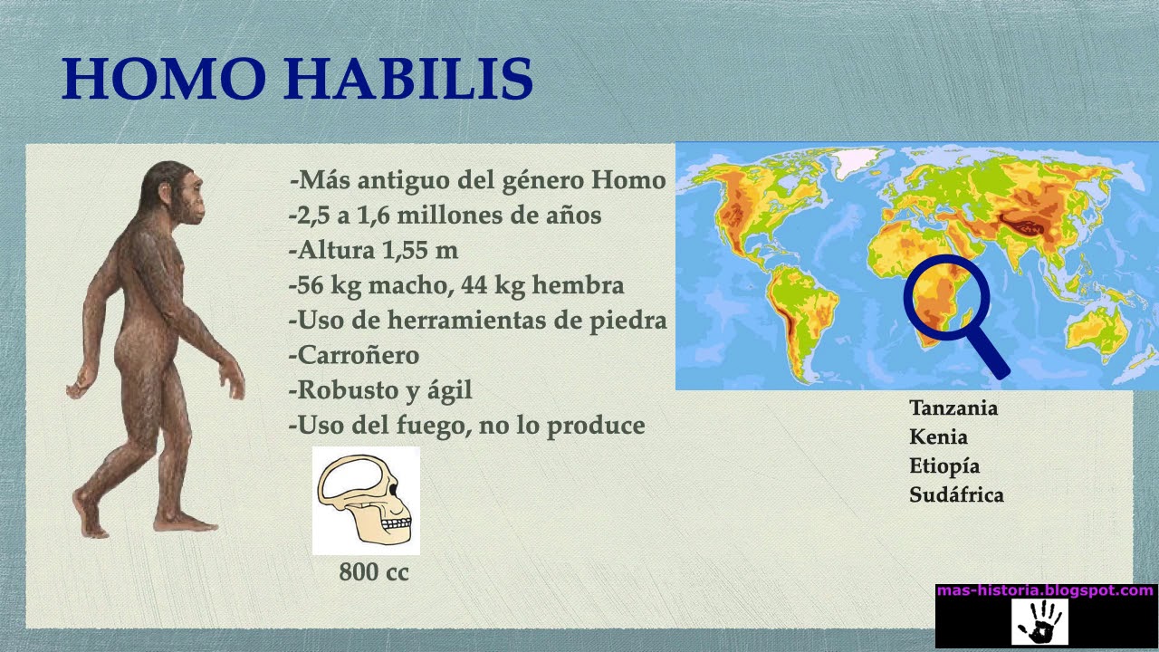 EVOLUCION DEL GÉNERO HUMANO - YouTube