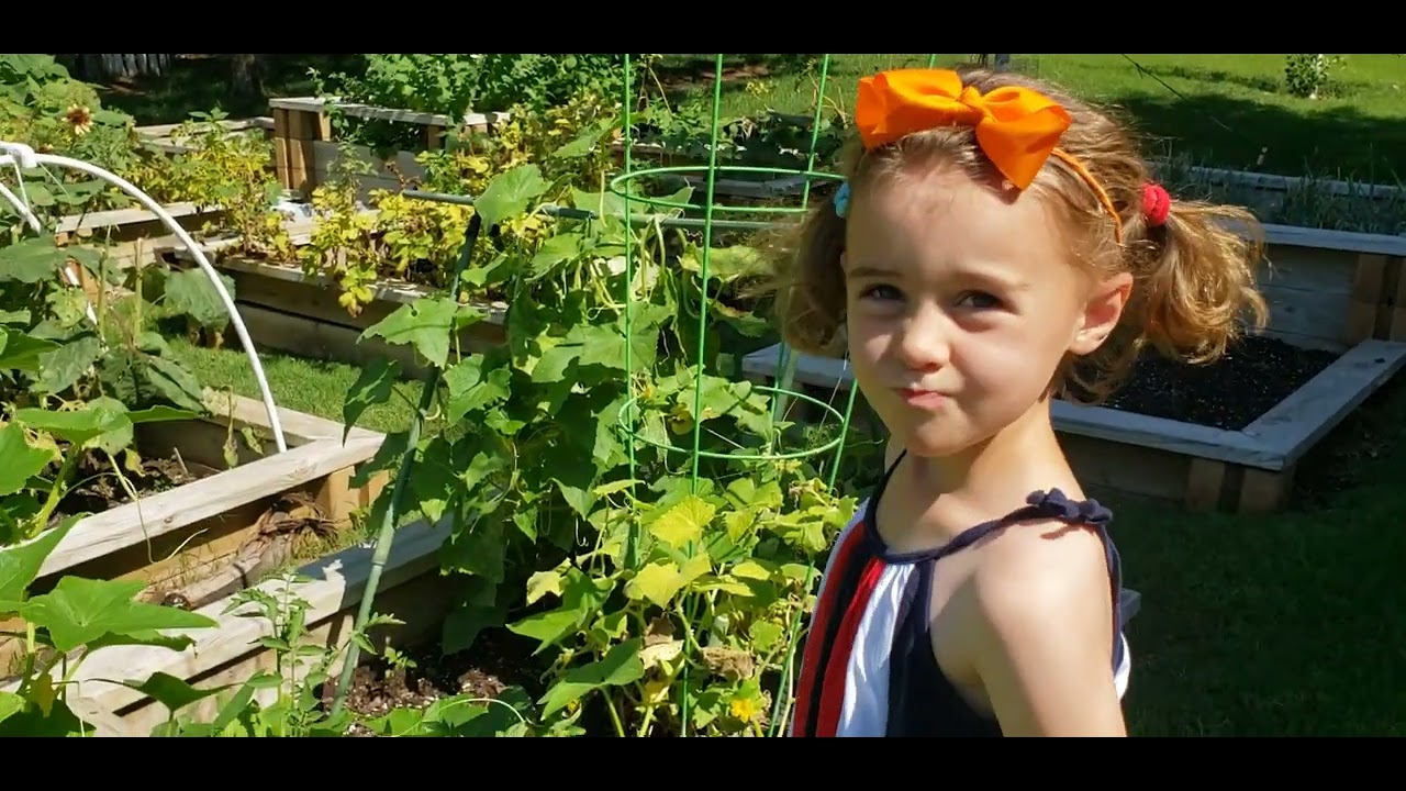 Pickin' for Pickles - YouTube