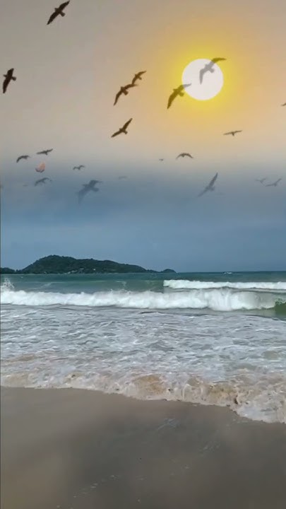 ยูทูปเบอร์มือใหม่ฝากกดติดตาม กดไลค์ Comment แชร์ ให้หน่อยนะคะ Beach