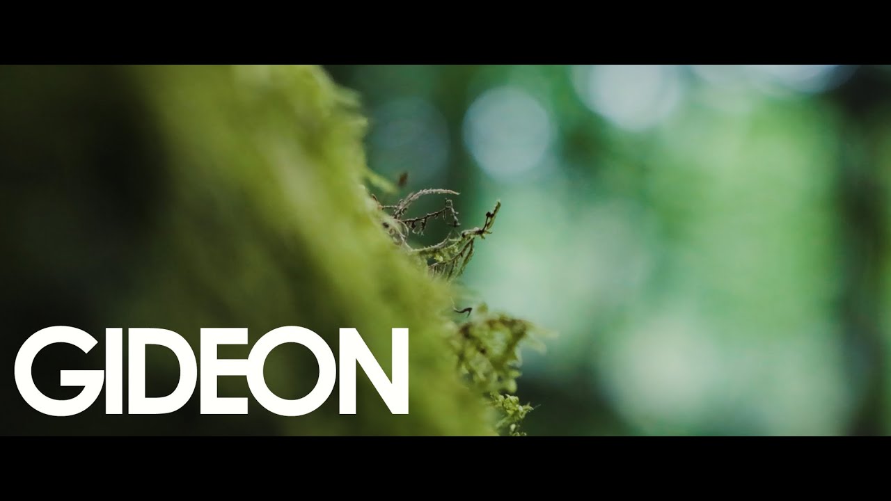 GIDEON | Cinematic movie | Nature videos | B-roll | Videography | 4K ...