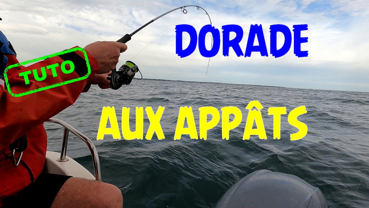 Tuto PECHE à la Dorade (Daurade) : le montage gagnant ? - YouTube