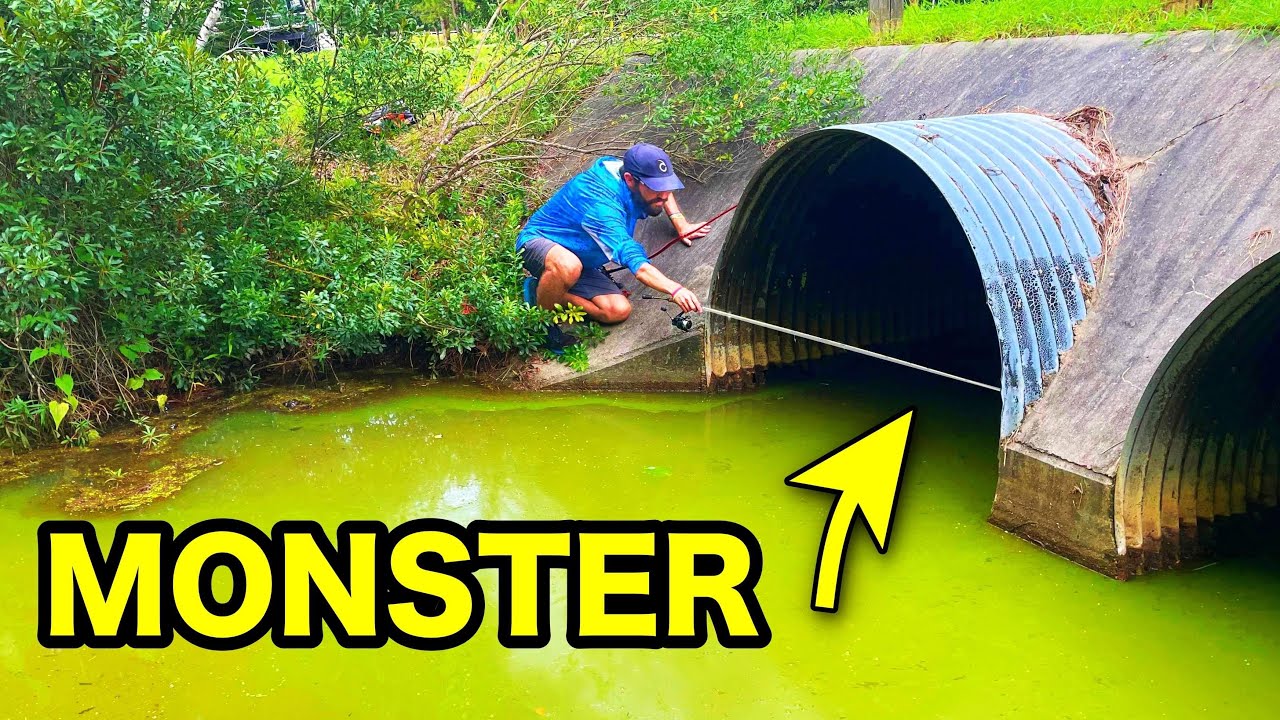 URBAN FLOOD FISHING for MONSTER FISH!! - YouTube