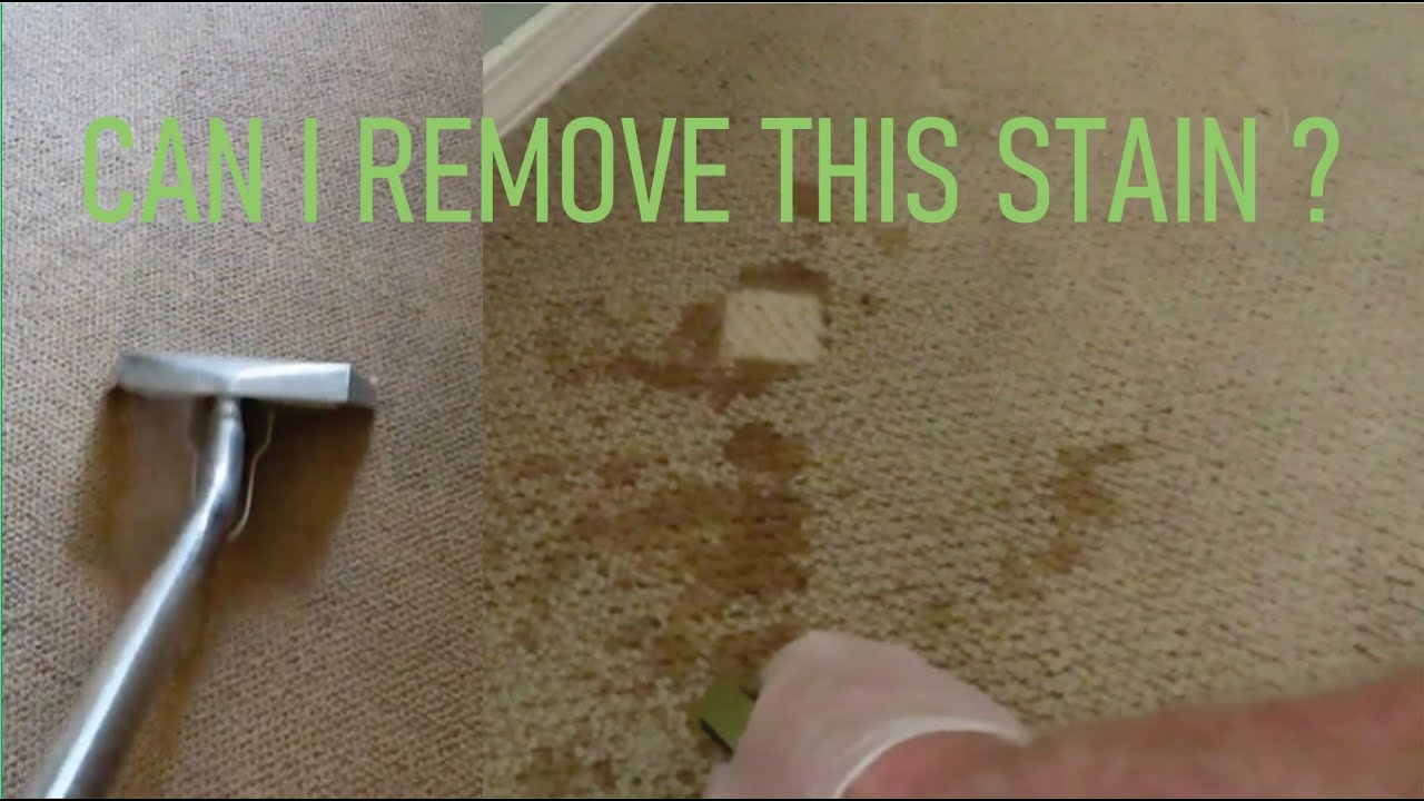Large DARK stain - 7 areas Carpet cleaning - YouTube