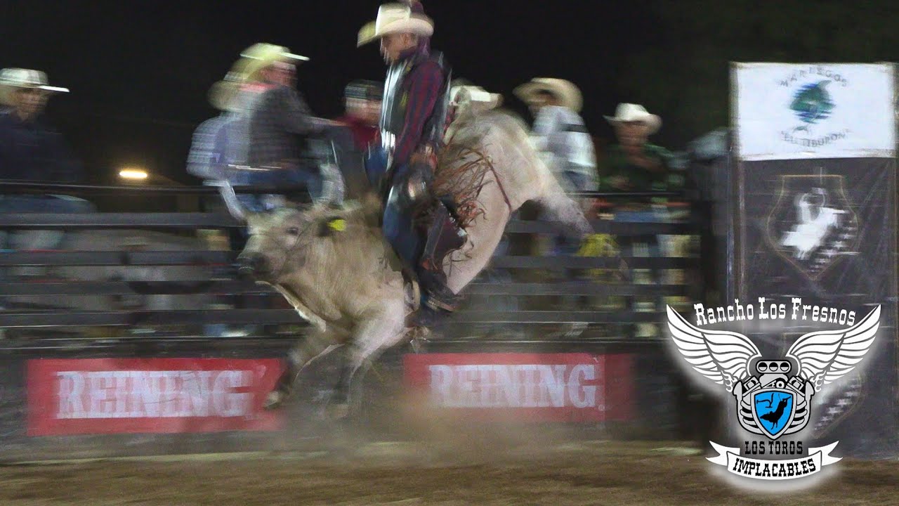 ALGO NUNCA ANTES VISTO LOS TOROS MÉXICANOS JUGARON EN UN RODEO ...