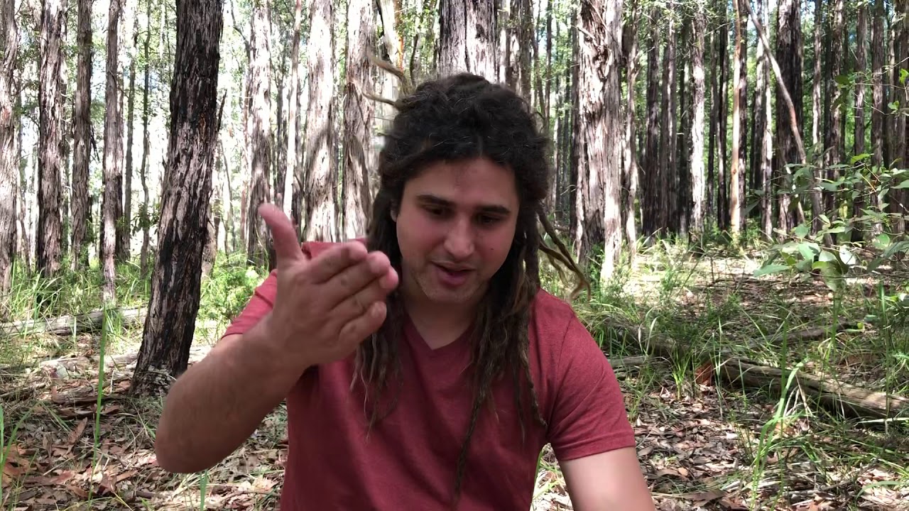 Video Diary 130320 Introduction To Bush Bash Youtube
