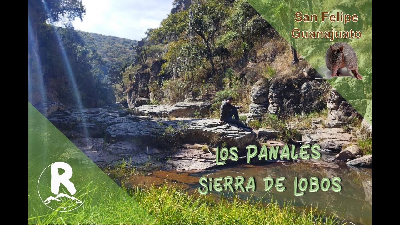 Los Panales en Sierra de lobos #cañada #naturaleza #rinconaventurero ...