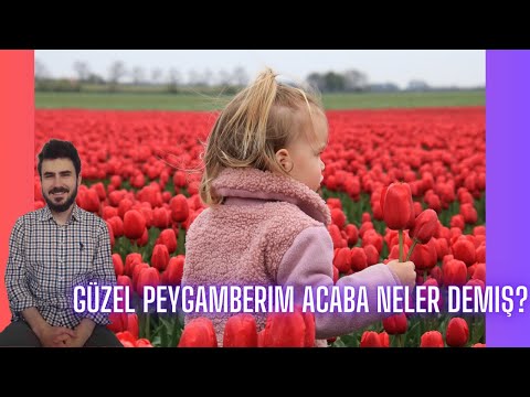 🤩Peygamberimizin ÇOK AMA ÇOK GÜZEL SÖZLERİ. Hadis Dersleri - 8 | Tahir Hoca