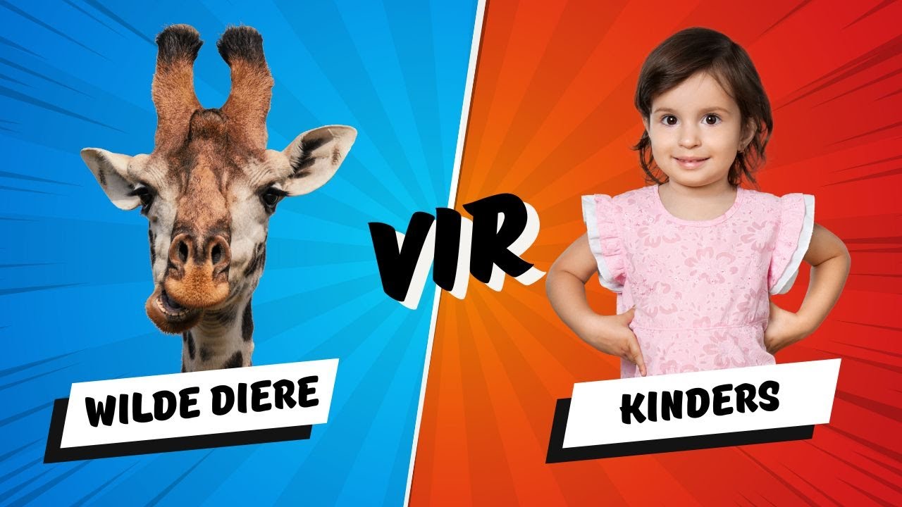 Wilde diere tema + PDF werkkaart #kleuters #kinders #lami #afrikaans ...