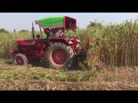 reaper machine, all crop cutting machine 9460705719 - YouTube
