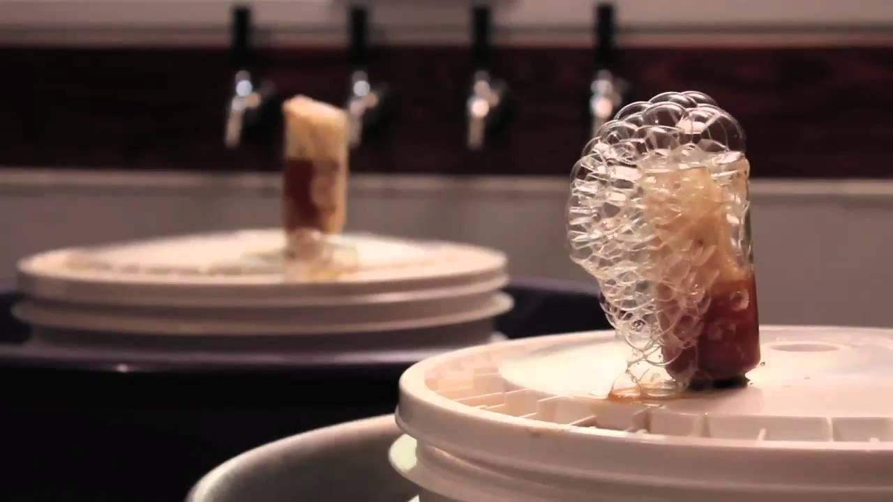 Beer Fermentation Krausen How To Avoid Krausen Blowout (Fermentation