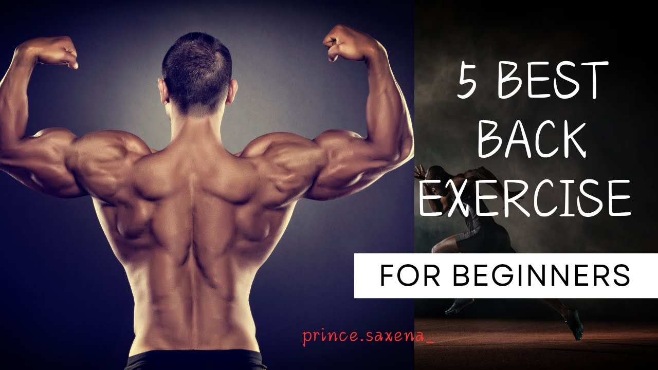 5 Best Back Exercises for Beginners | Easy Gym Workouts - YouTube