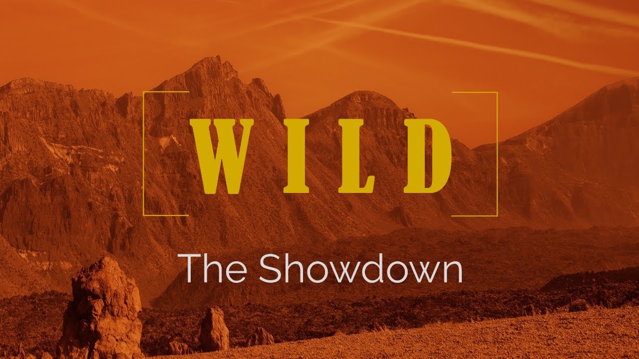 7-14-24 Traditional "Wild: The Showdown" ~Bob Allen - YouTube