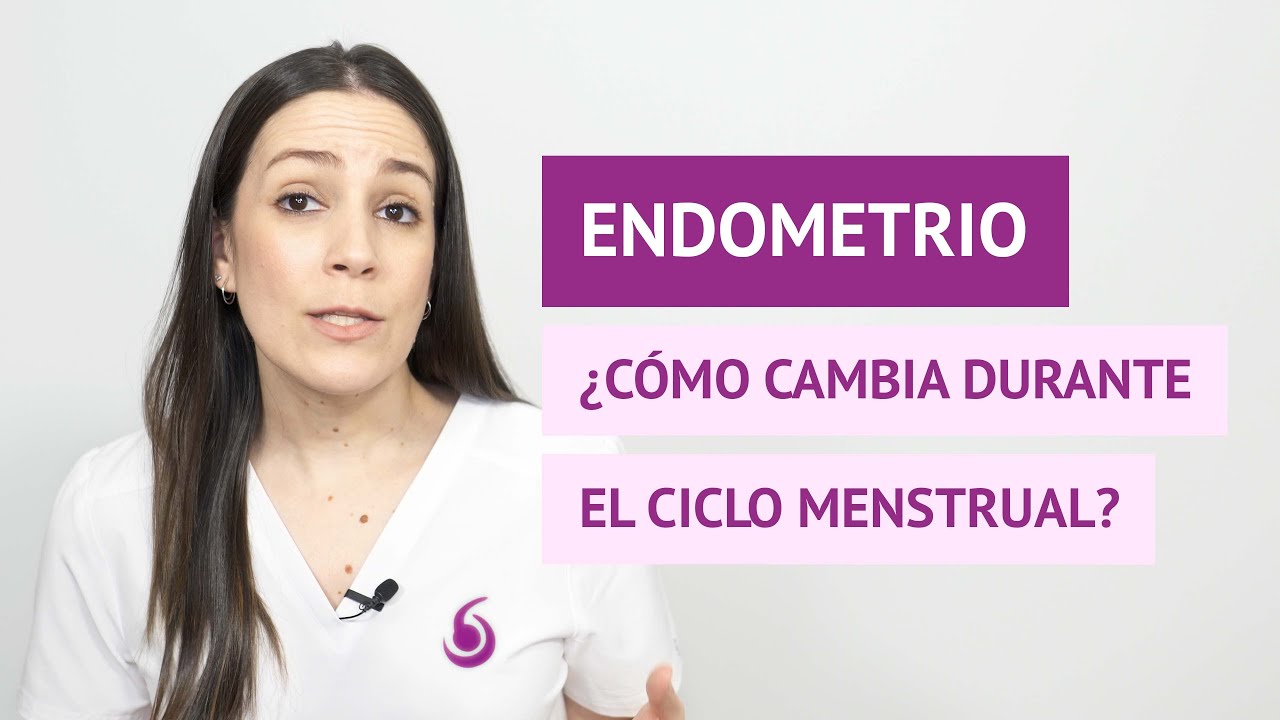 ¿Cómo cambia el endometrio a lo largo del ciclo menstrual? - YouTube