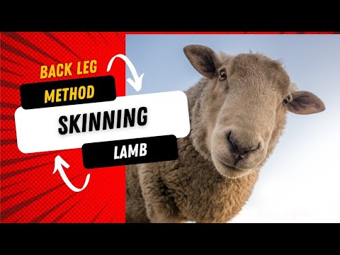legging skinning gutting hanging from the back legs - YouTube