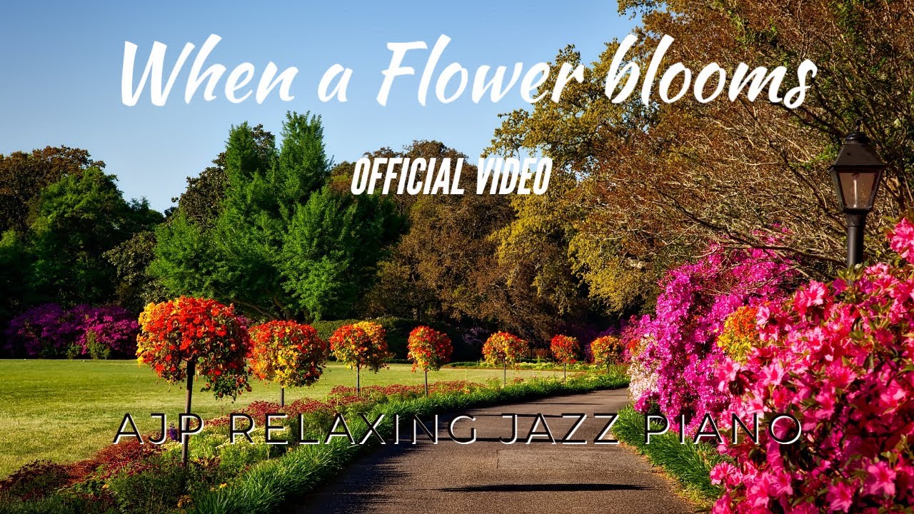When a flower blooms "OFFICIAL VIDEO" (A soft Jazz piano composition ...