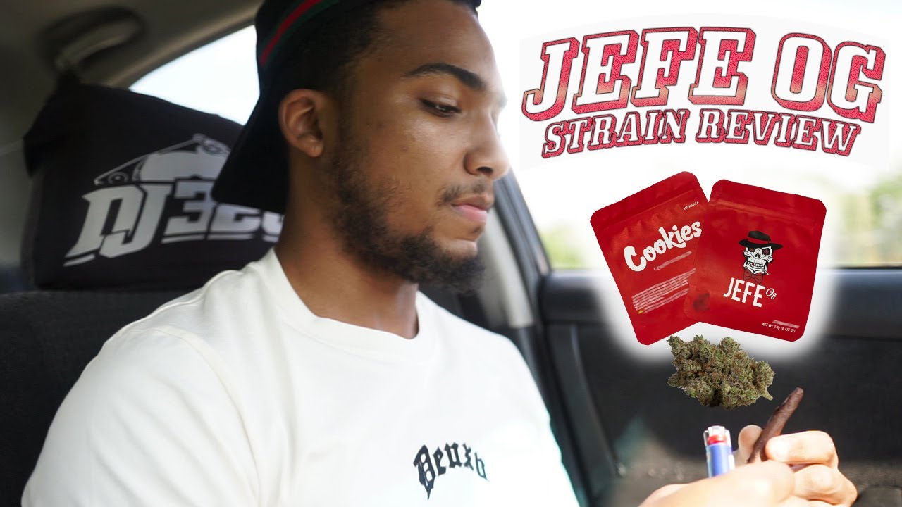 Shy Glizzy 1st DC Rapper to have his own strain ~ Jefe OG~ Recap ...