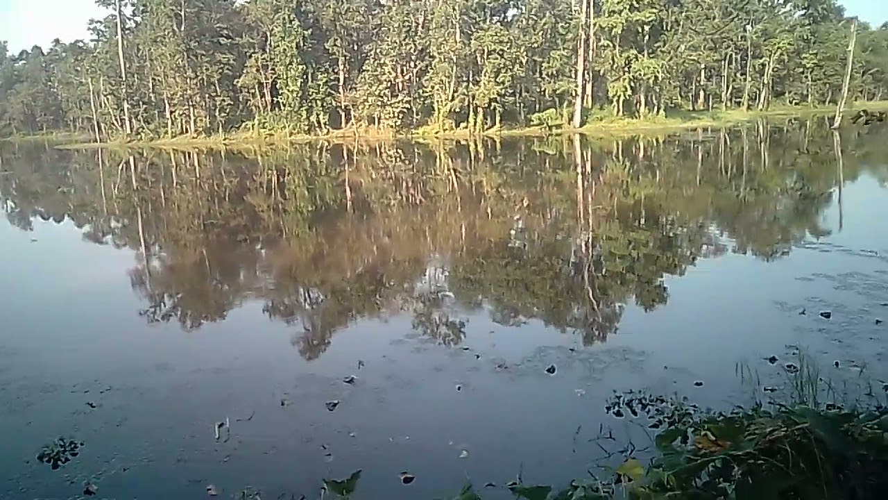 Bishajari tal (20thousand lake chitwan) - YouTube
