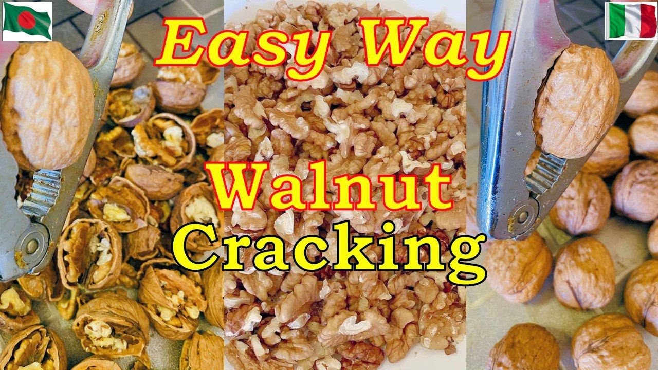 #Shorts-How to open walnut shell / Easy way to open walnut shell ...