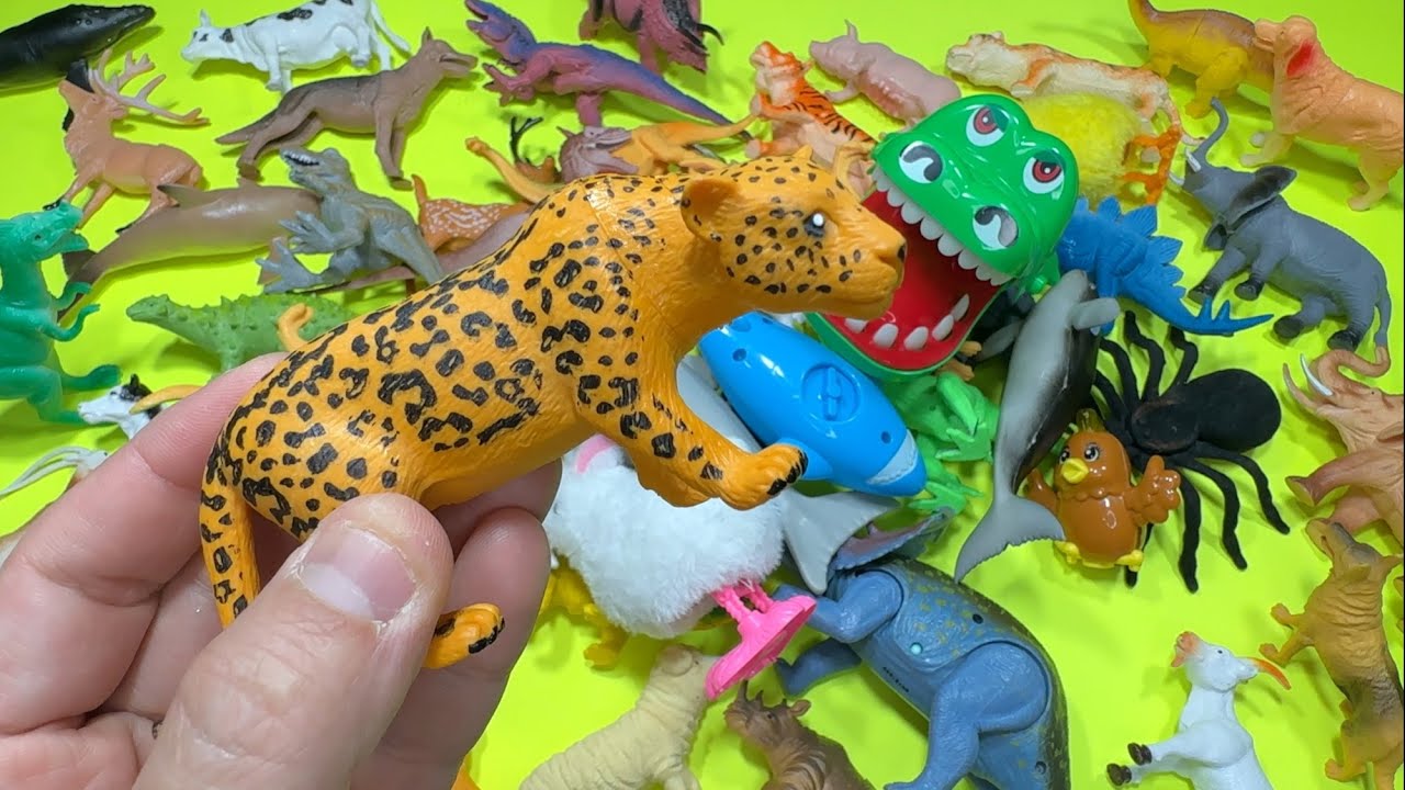 🐹 My Collection Beautiful Mixed Animals - Tiger, Crocodile, Spider ...