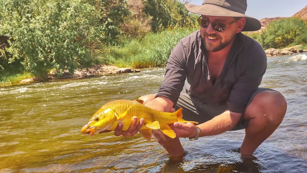 Gold Rush - Catching slabs of gold in the Namib Desert (Orange River ...
