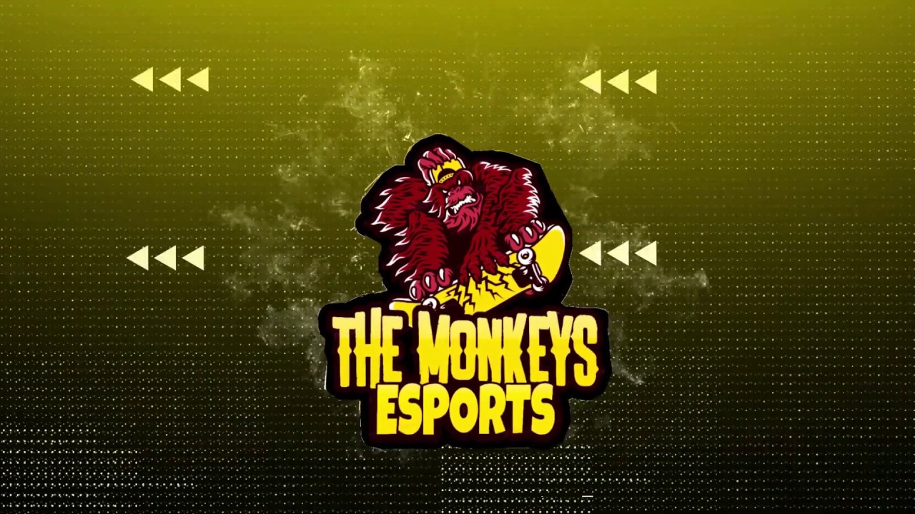 TEAM MONKEYS OFICIAL | PRÓXIMAMENTE 🔥 - YouTube